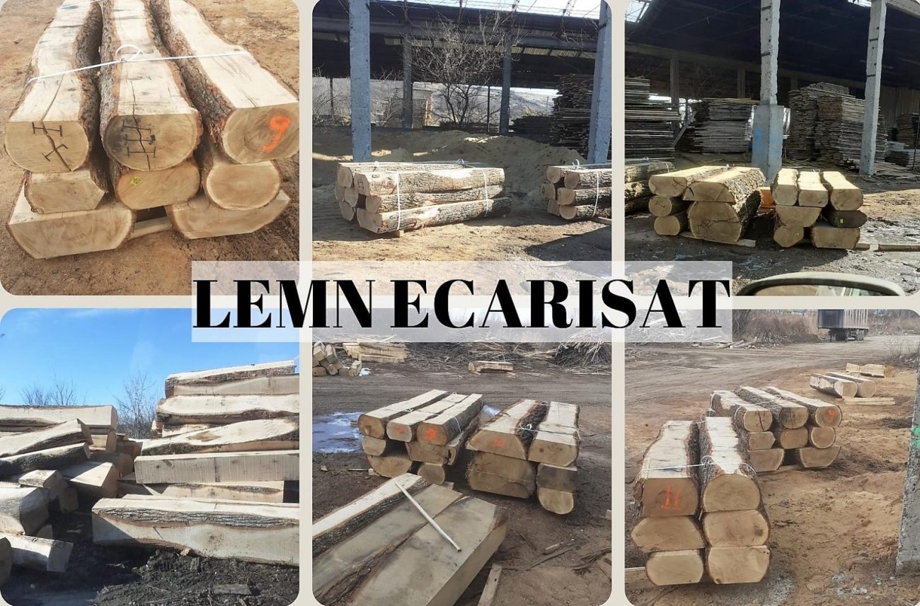 Producătorii de mobilă cer asigurarea materiei prime lemnoase de ...